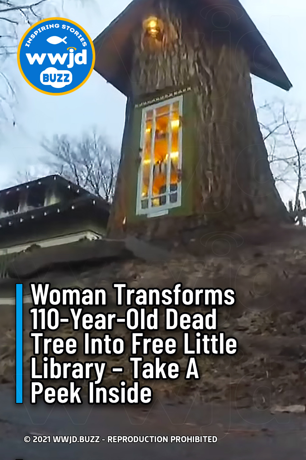 Woman Transforms 110-Year-Old Dead Tree Into Free Little Library – Take ...
