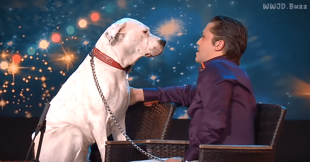 This Dog Sings Whitney Houston's "I Will Always Love You” and Blows the ...