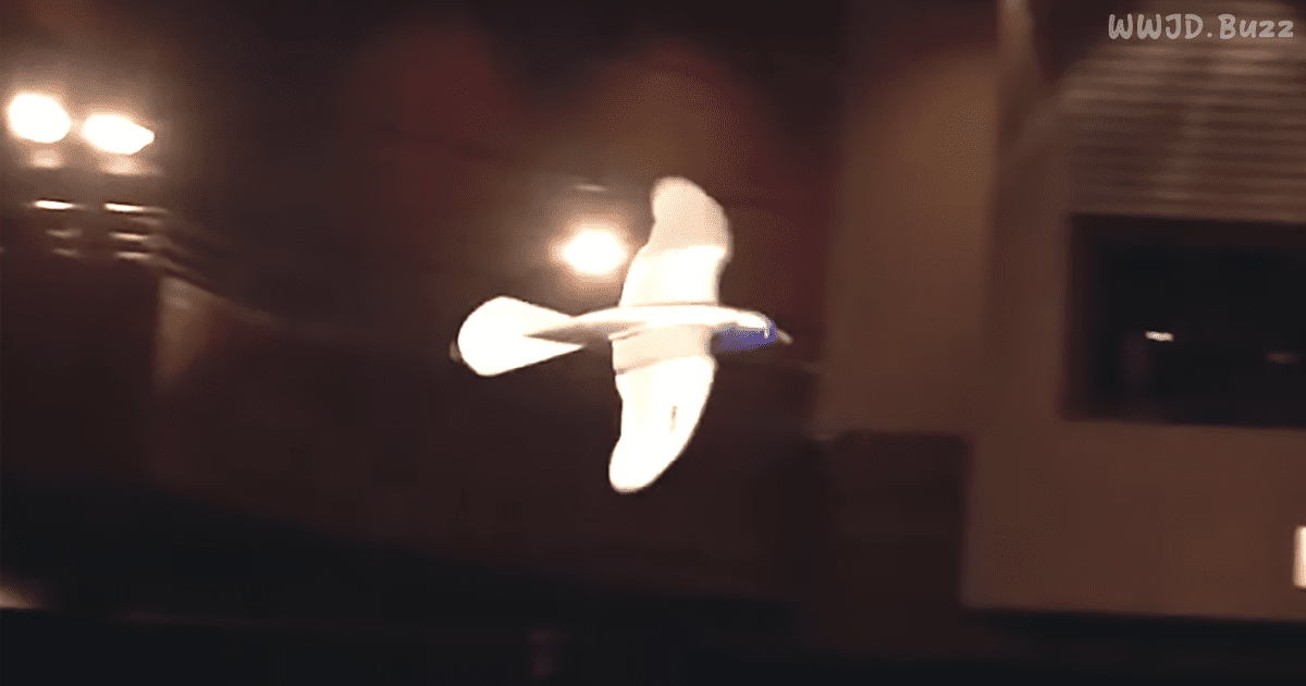 Robot That Flies by Flapping Its Wings Like a Bird Soars Over Amazed ...