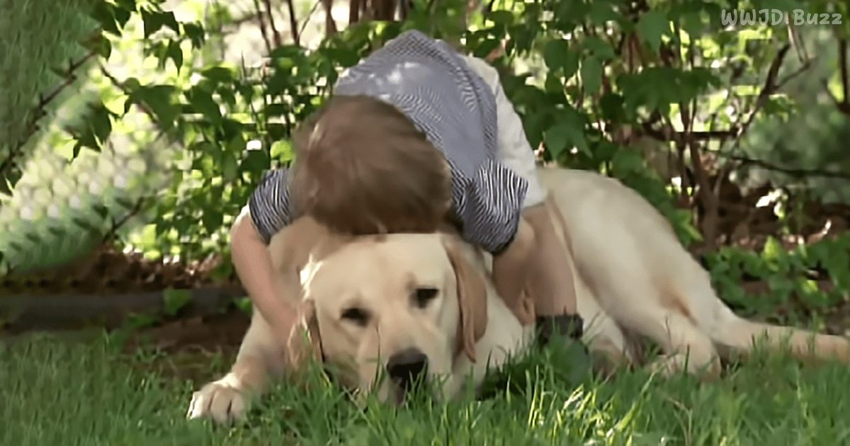 Dad shares special moment between son and dog that will warm your heart ...