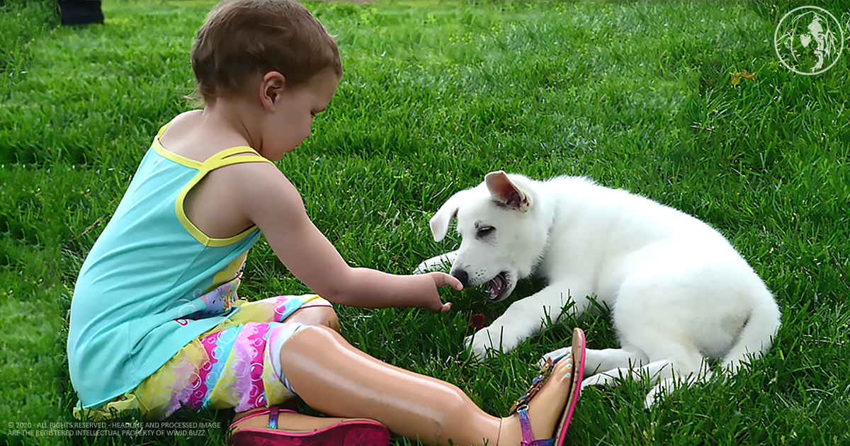 Toddler Born Without Feet Gets A Puppy Born Without A Paw: 'That's My ...