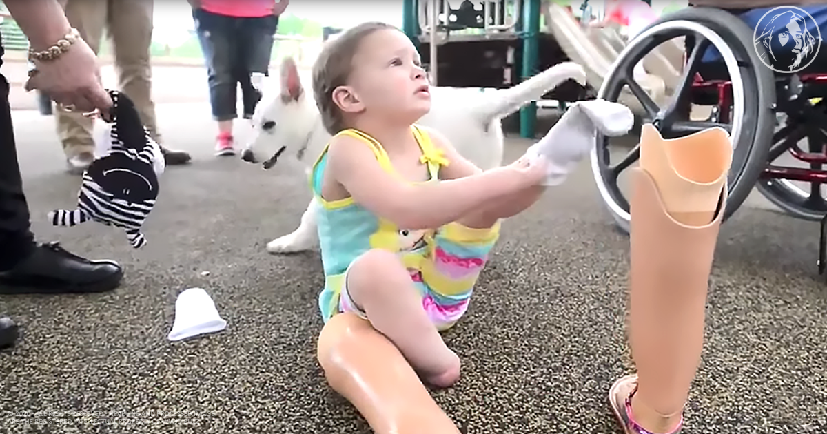 Toddler Born Without Feet Gets A Puppy Born Without A Paw: “That’s My ...