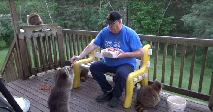 Self-Proclaimed “Racoon Whisperer” Has Hungry Visitors – WWJD