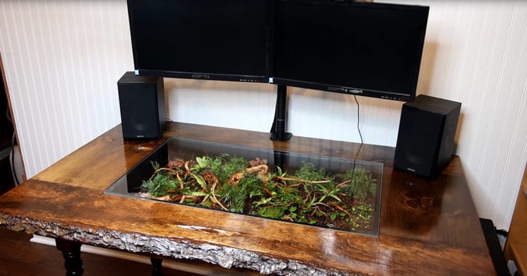 DIY Terrarium Computer Desk? You’ll Be Amazed And Inspired – WWJD