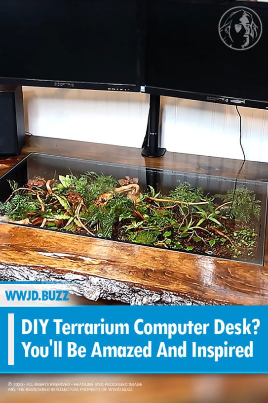 PIN-A DIY Terrarium Computer Desk You’ll Be Amazed And Inspired – WWJD