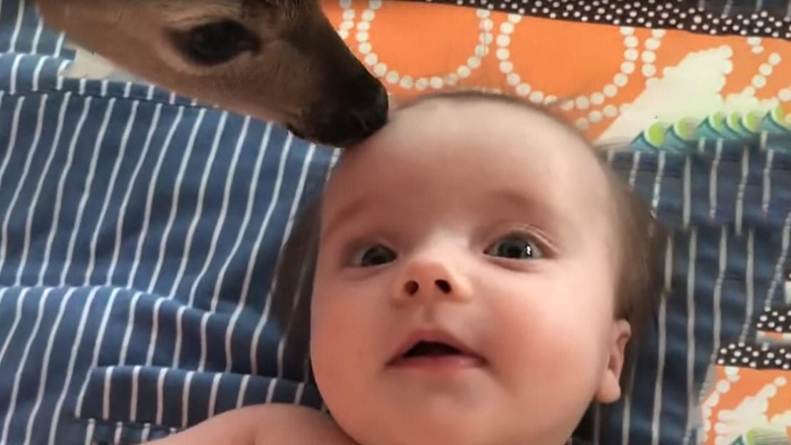 93 year old original Gerber baby and the newest Gerber baby – WWJD