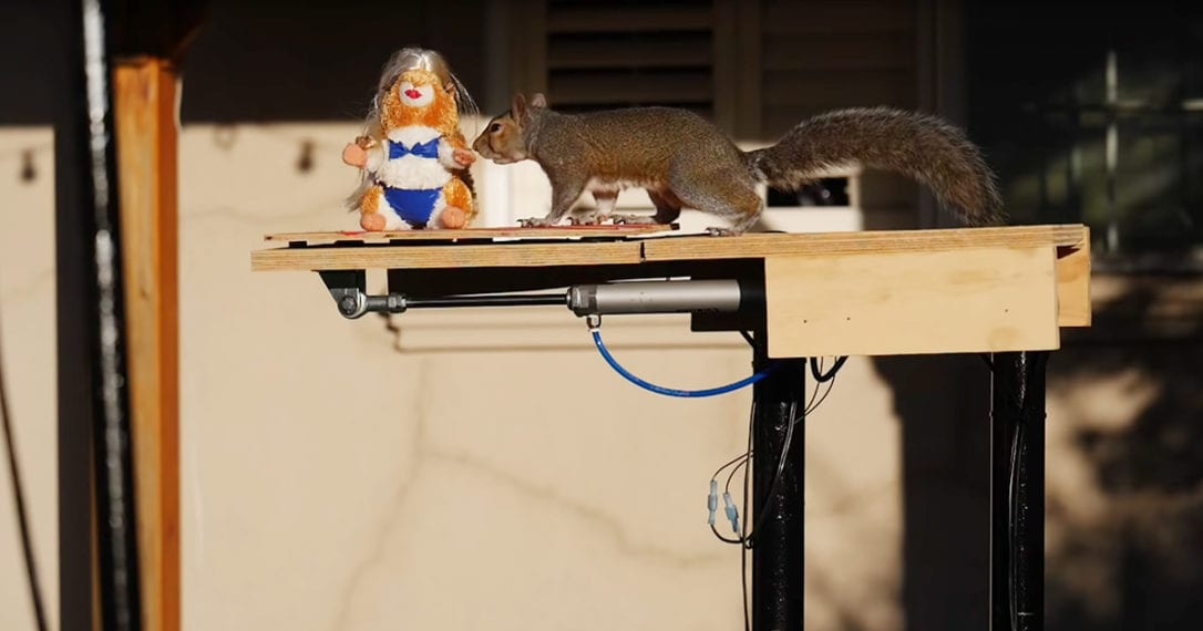 Skilled Former NASA Engineer Creates Intricate Obstacle Course for ...