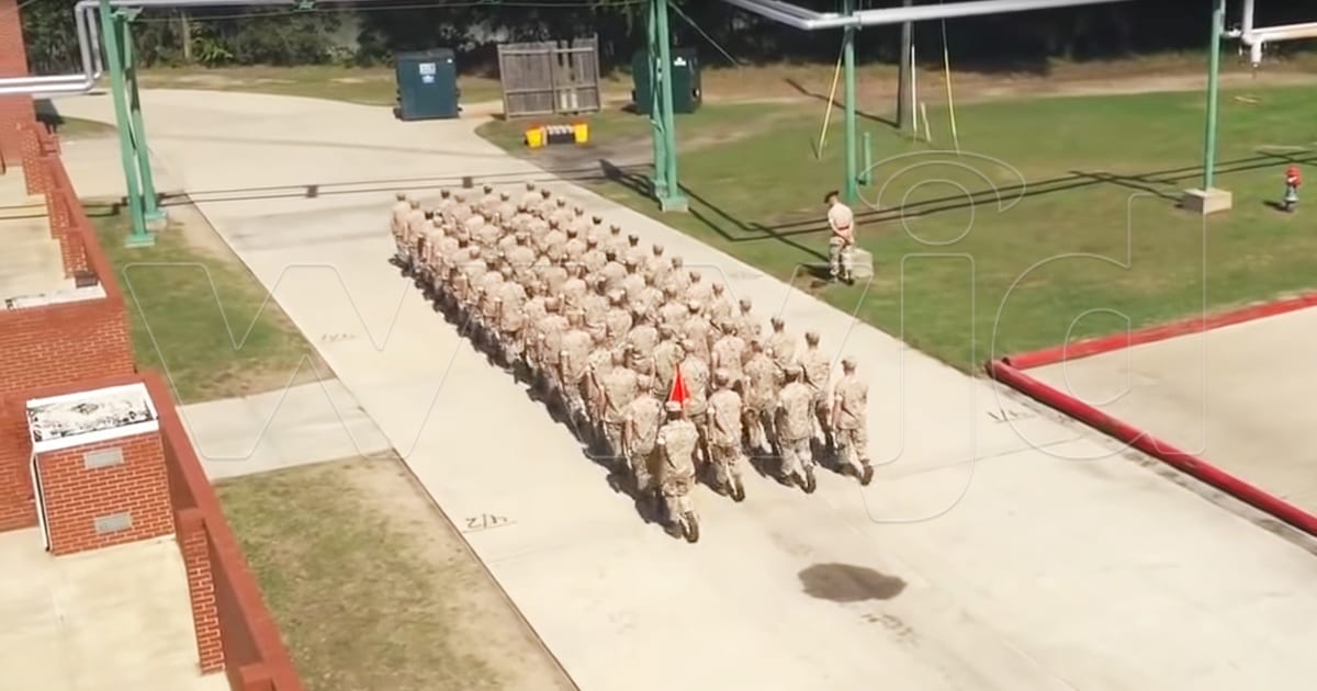 Proof that the ‘Monkey Drill’ is the epitome of Marine discipline | WWJD