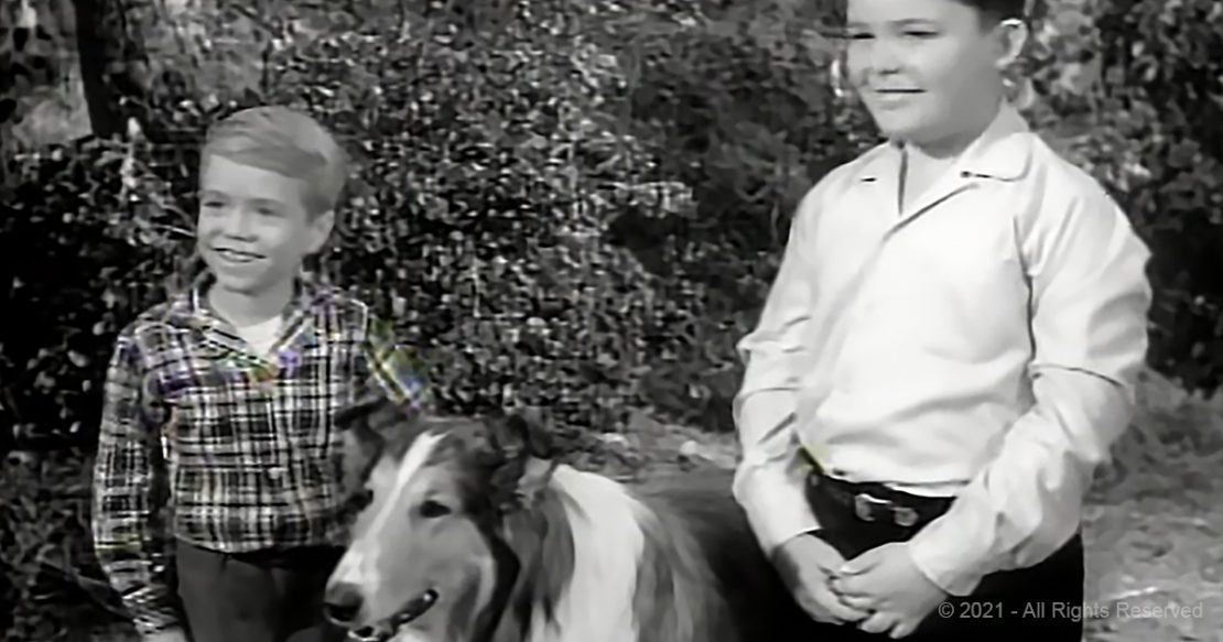 Little Timmy fondly recalls his time with Lassie – WWJD