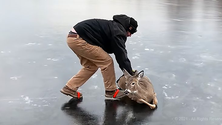 4-year-old ice skater glides to the tunes from Masha and the Bear | WWJD