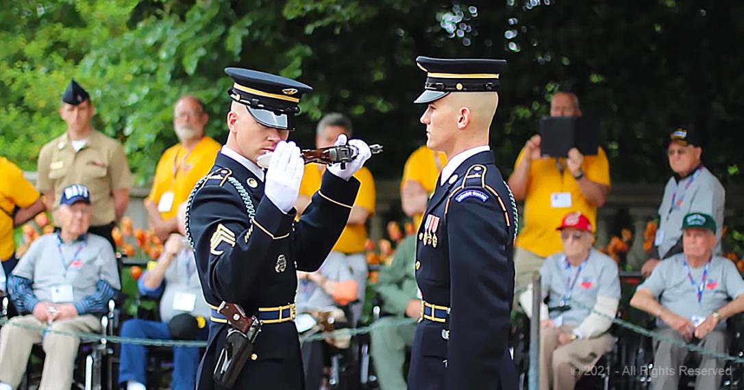 Patriotic military inspection is captivating – WWJD