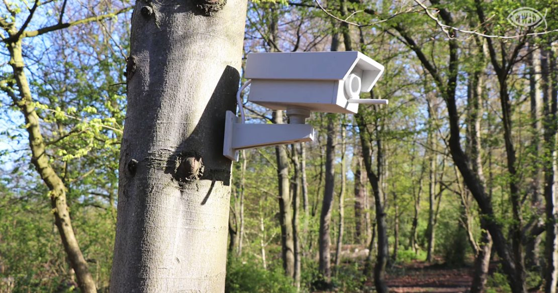 An Easy to Create Birdhouse with Fake Camera – WWJD