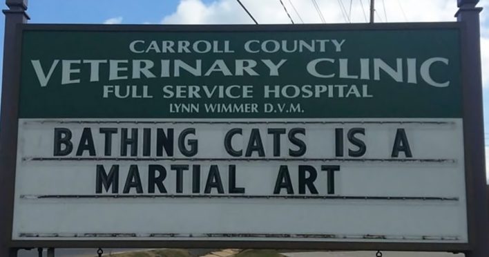 Best funny slogans found on vet clinics signboard | WWJD