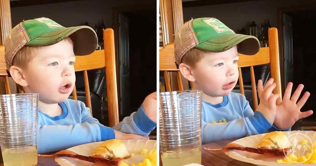 Toddler shows how to give directions in the country – WWJD