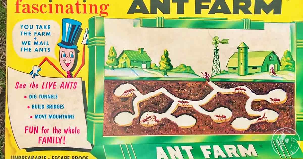 Fading Gems: 12 Irreplaceable Artifacts from 1960s American Life – WWJD